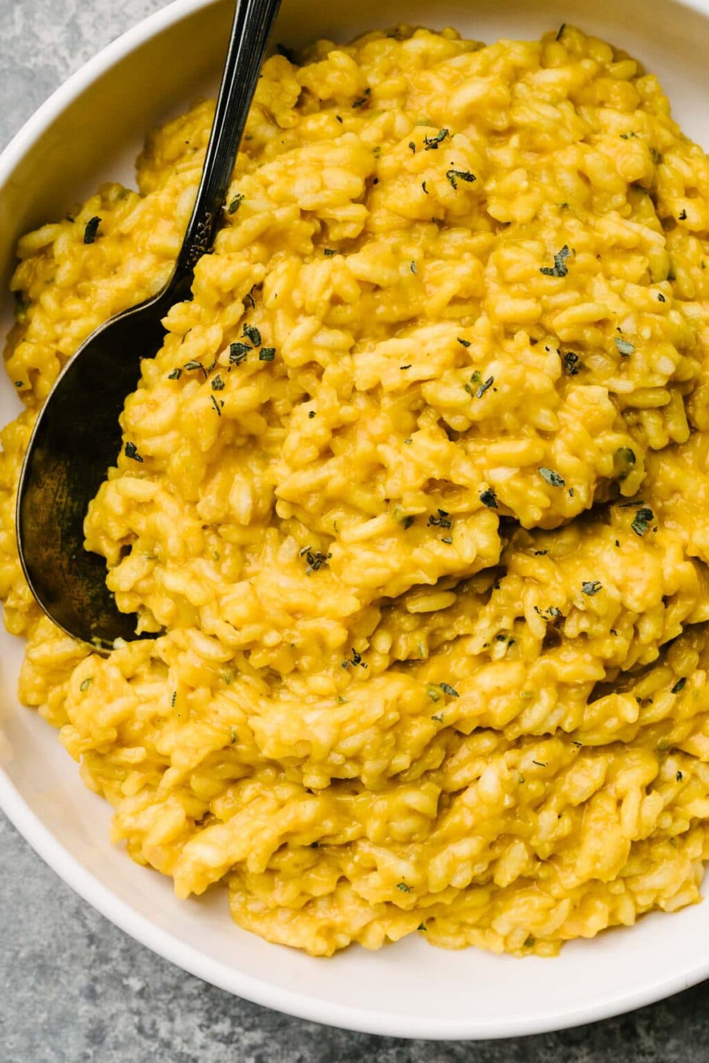 Pumpkin Risotto (Canned Pumpkin Puree) - Our Salty Kitchen
